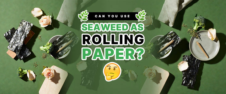 How to Roll a Blunt with Rolling Paper (2025 Guide) 🎯 – ROLL YOUR OWN ...