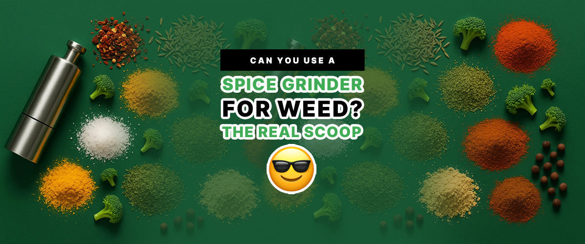 Can You Use a Spice Grinder for Weed? The Real Scoop 😎