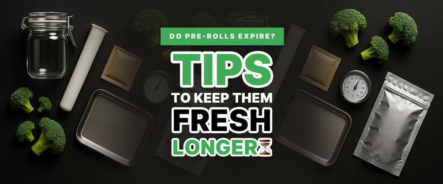 What Is Rolling Paper Made Of? 🤔 The Ultimate Guide to Rolling Paper M ...