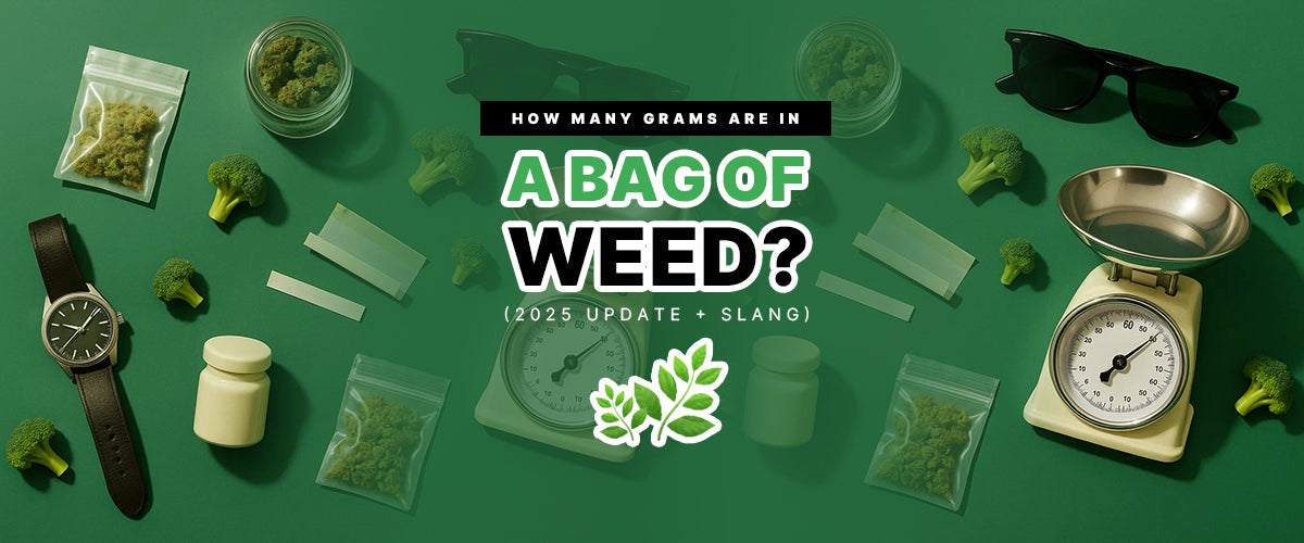 How Many Grams are in a Bag of Weed? (2025 Update + Slang) 🌿 – ROLL ...