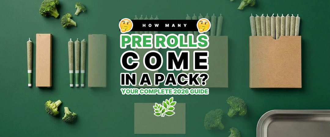 🤔 How Many Pre Rolls Come in a Pack? Your Complete 2026 Guide 🌿 – ROLL ...
