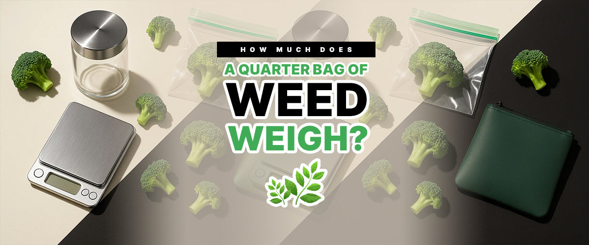 How Much Does a Quarter Bag of Weed Weigh? 🌿