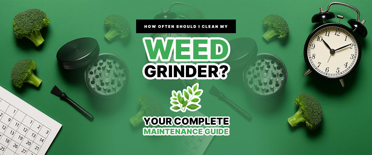 How Often Should I Clean My Weed Grinder? 🌿 Your Complete Maintenance