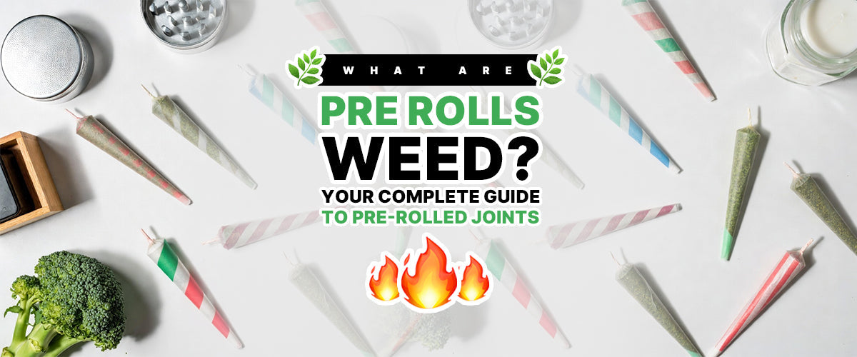🌿 What Are Pre Rolls Weed? Your Complete Guide to Pre-Rolled Joints 🔥 ...
