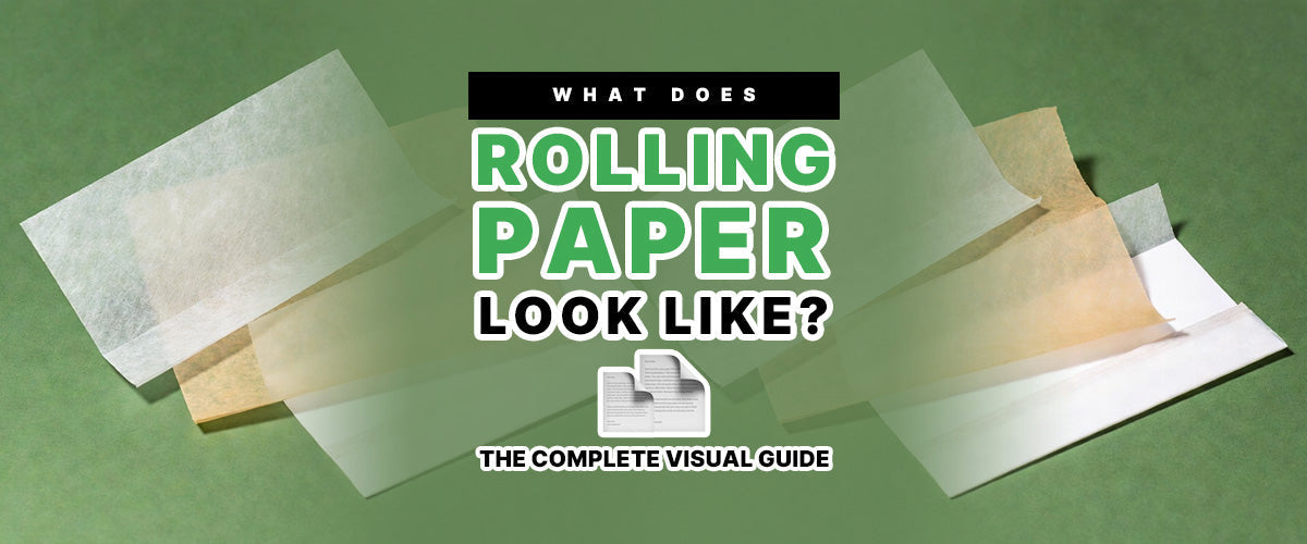 What Does Rolling Paper Look Like? 📄 The Complete Visual Guide